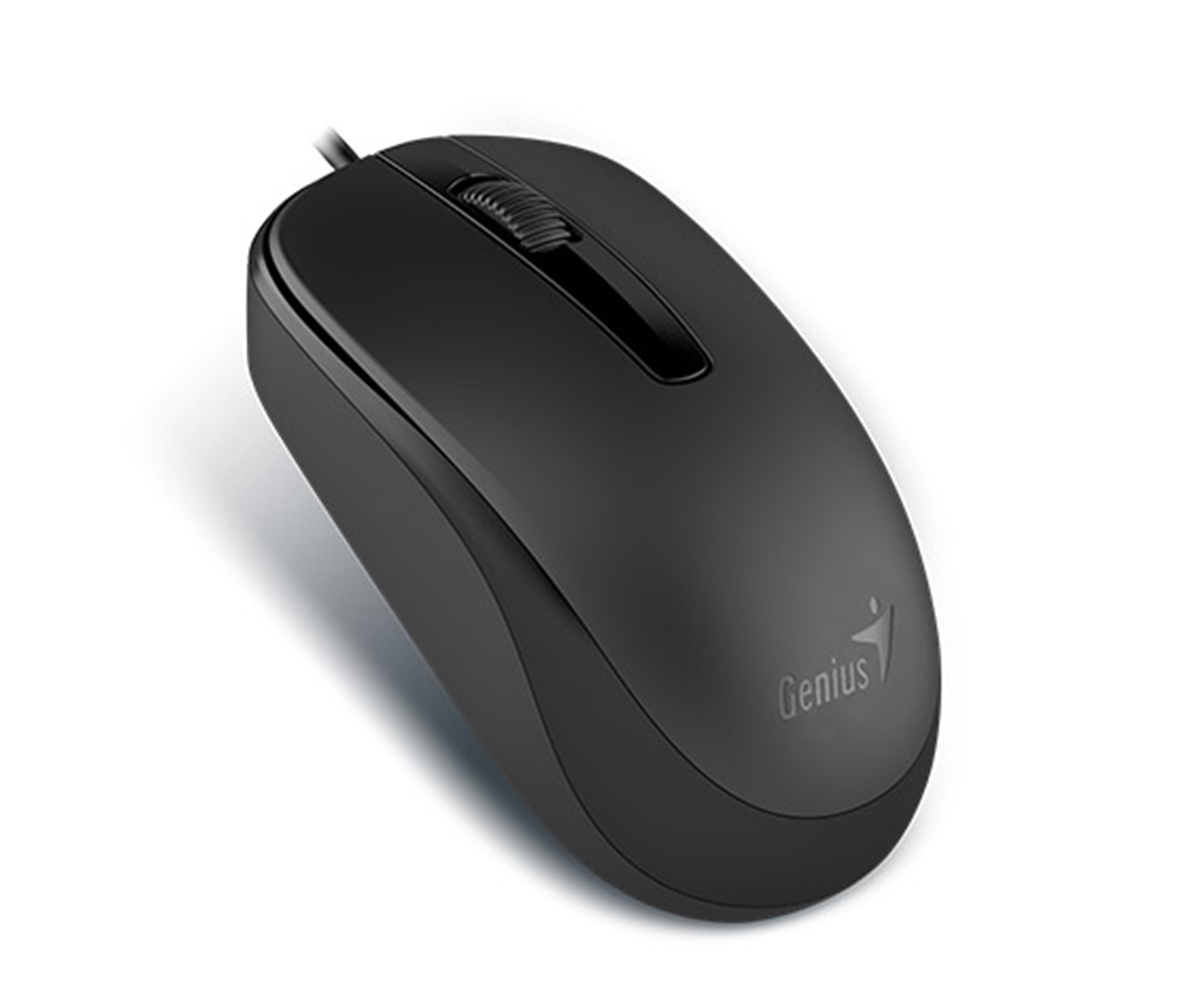 MOUSE GENIUS DX-120 USB NEGRO - Blastercomputacion.com.ar